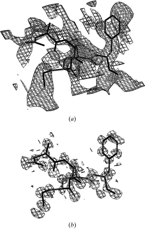 Electron Density Maps Of Residues A33±a37 Of Protein 1bkr Maps Are