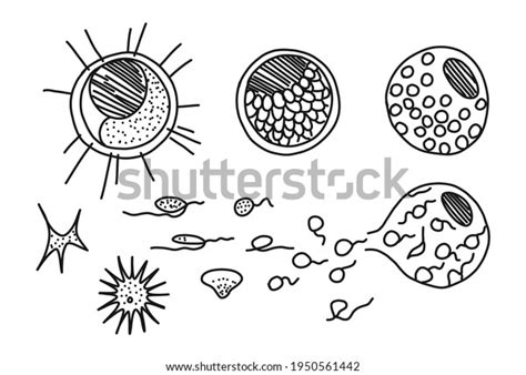 79 Protoplasmic Stock Vectors And Vector Art Shutterstock