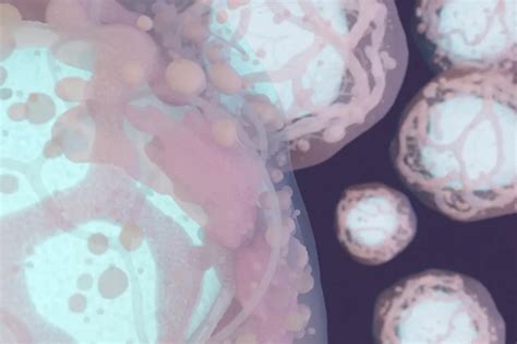 Reprogramming Biology Ipscs And The Future Of Predictive Research