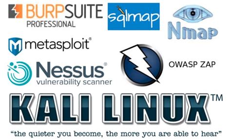 Perform Penetration Testing And Vulnerability Assessment By Ghostsilentgrim Fiverr