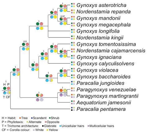 Bayesian Inference Of Ancestral Character State Reconstruction Of Four Download Scientific