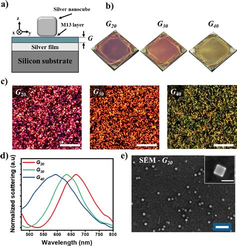 Multiarray Biosensor For Diagnosing Lung Cancer Based On Gap Plasmonic