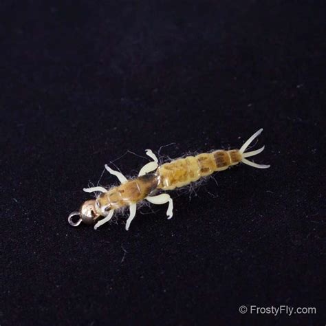 Realistic Hellgrammite Fly Frostyfly