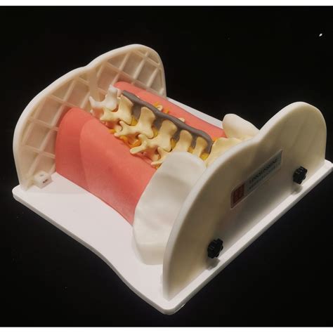 In P1 Laparoscopic Simulator Trainer Training Box Endoscopy Scopic Laparoscopy Training Box