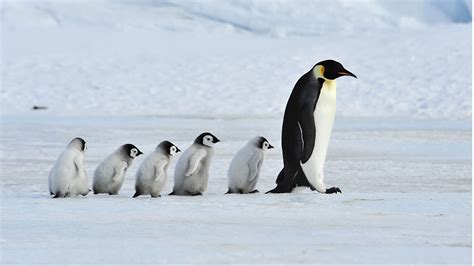 Erp Data Migration Special Considerations Erp Ace