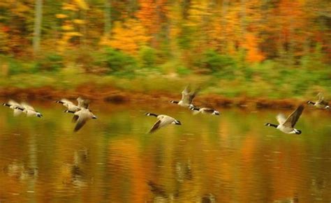 ӨНӨӨДӨР УЛААНБААТАРТ 20 ХЭМИЙН ДУЛААН