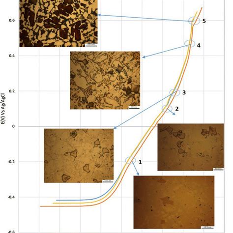 Anodic Polarization Curve For Alloy 2 Download Scientific Diagram