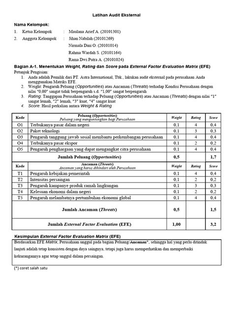 kelompok 5 latihan audit eksternal tahap input data pdf