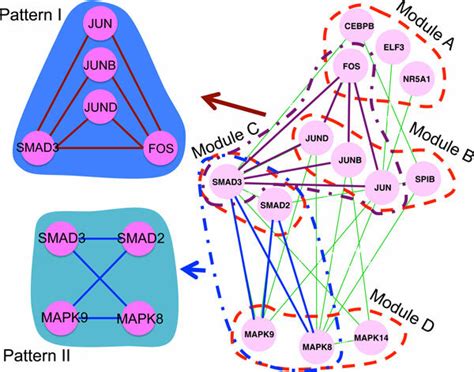 A Subnetwork With Sparsely Connected Modules Detected By Sgpg Module A Download Scientific