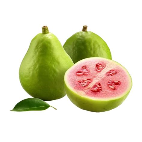 Guayaba Casa Rica