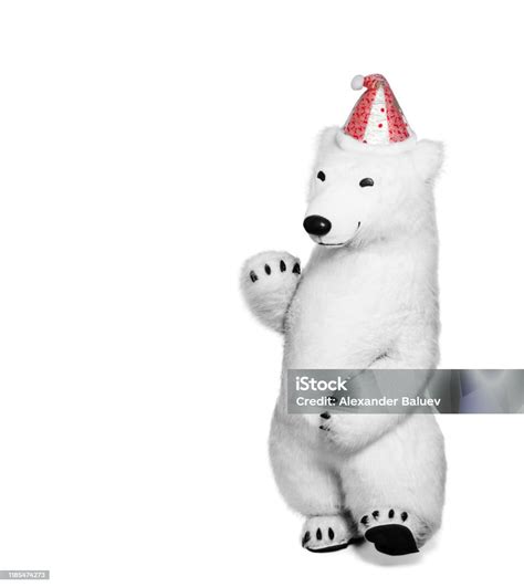 빨간 모자를 쓴 북극곰 장난감이 손을 흔들며 인사를 건네고 있습니다 흰색 배경에 고립 된 북극곰 귀여운에 대한 스톡 사진 및
