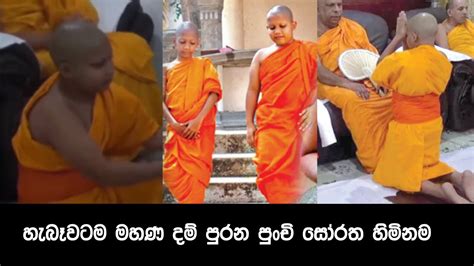 හැබෑවටම මහණ දම් පුරන පුංචි සෝරත හිමිනම Youtube