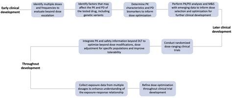 Dose Optimization Methods Used During Drug Development Phases Download Scientific Diagram