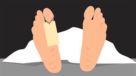 Agency News Five Army Personnel Dead In Accident Near Line Of Actual