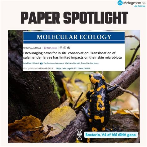 Metagenom Bio Life Science On Linkedin 16srrna Microbiome Bacteria