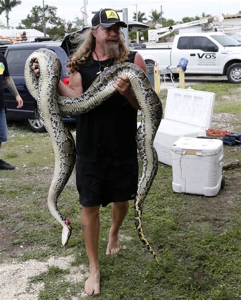 Florida python hunters hit new milestone: two miles of snakes | Miami Herald
