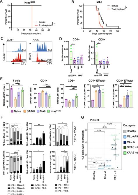 Oncogene Specificity Influences The Type Of Immune Response To Aml Download Scientific Diagram