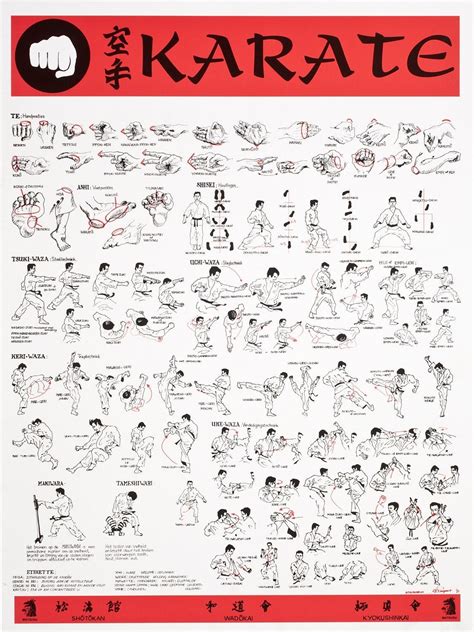 Katas De Karate Técnicas De Artes Marciales Aprender Karate