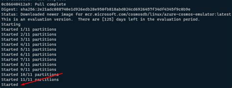 Run Azure Cosmos Db Emulator In Docker On Windows In A Linux Container