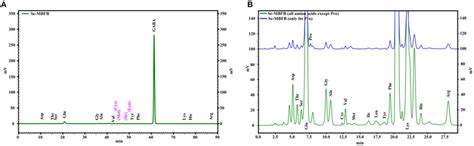 The Ic Chromatograms Of The Amino Acids Of Free Amino Acid A And