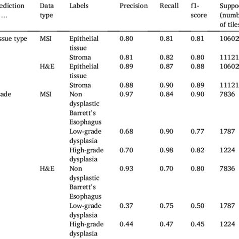 Example Of Tile Based Classification Of The Grade Of A Be Tissue A Download Scientific
