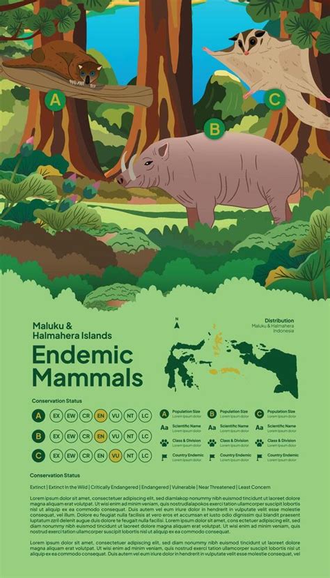 Conservation Flyer Layout Idea Maluku Endemic Mammals Flat Illustration