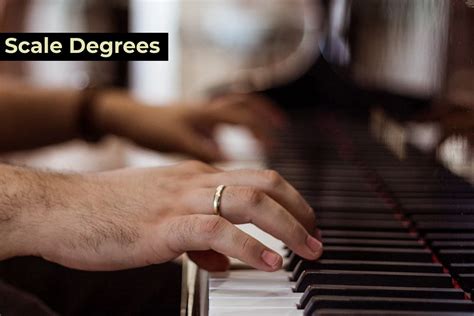 Scale Degrees Phamox Music