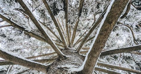 How To Use The Git Branches