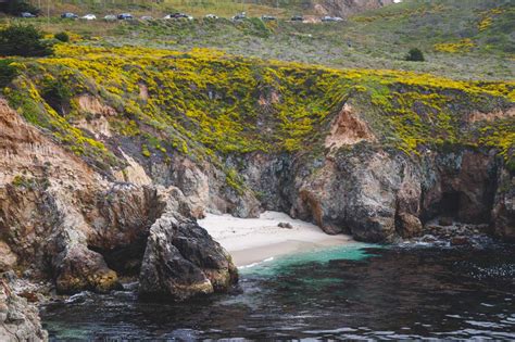 Garrapata State Beach Your Ultimate Guide