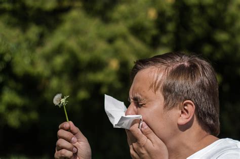 알레르기와 젊은 남자의 근접 촬영 초상화입니다 남자는 민들레에 알레르기가 있습니다 T 셔츠에 대한 스톡 사진 및 기타 이미지 T 셔츠 감기와 독감 건강한 생활방식