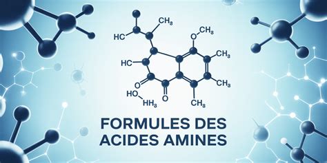 Formules Des Acides Aminés Comprendre La Base Des Protéine