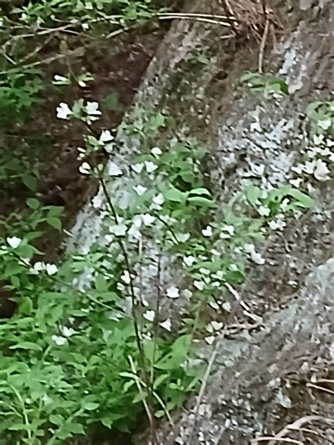 해 칠 마음을 갖지 말고 원한을 품지 말고 성내는 마음을 두지 말라 비록 화가 머리끝까지 치밀더라도 함부로 말하지 말라 남의 흠을 애 대구구룡사 Band