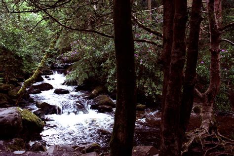 My Cathedral By Lilithdesade On Deviantart