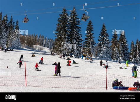 Beginners Ski Slope And People Enjoying The Sunny Winter Day At Aleko
