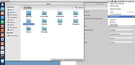 install evolve gtk theme on ubuntu 12 10 12 04 11 10 linux mint