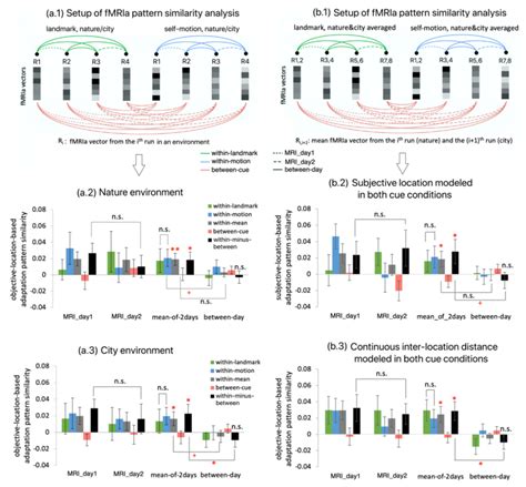 Figure S2 Controlled Analyses Of Fmria Pattern Similarity In