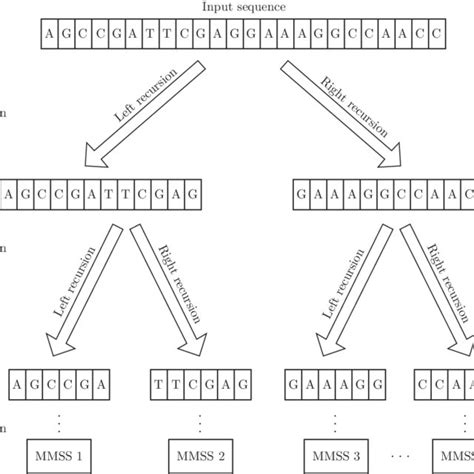The Complete Blueprint Of The Research Work Where The Input Sequences