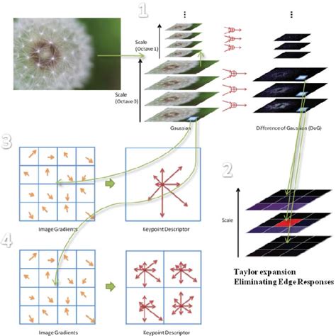 Figure 1 From Fast Sift Design For Real Time Visual Feature Extraction