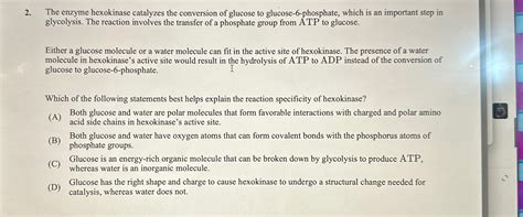 Solved The Enzyme Hexokinase Catalyzes The Conversion Of
