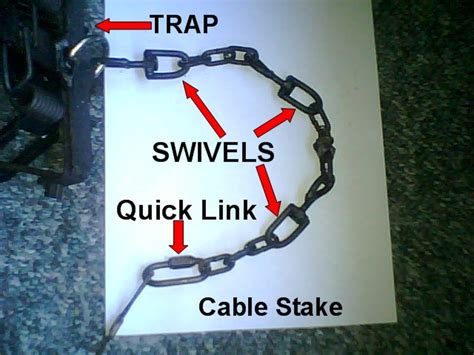 Ohio Goes Hunting Foremost Coyote Hunting Basic Coyote Trapping Equipment