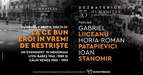 Liviu Babes Scaled Contributors