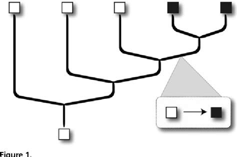Figure 1 From The Delimitation Of Phylogenetic Characters Semantic Scholar