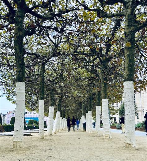 Matthew Cefai 摄影