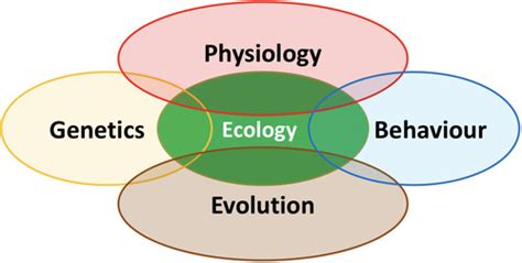 Bio 141 1 Introduction And Ecophysiology Flashcards Quizlet