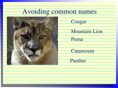 Classifying Living Organisms Ppt Download