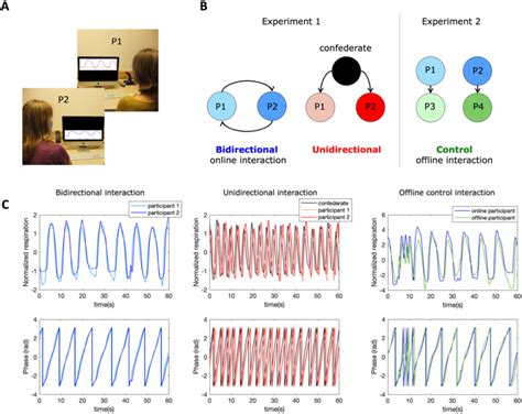 a experimental setup pairs of participants received visual real time download scientific