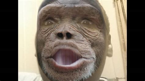 Screaming Monkey YouTube