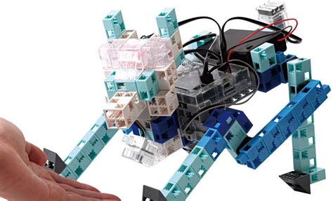 La Robotique Pour Apprendre à Programmer Dès Lécole Primaire
