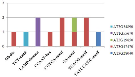 Cis Acting Regulatory Elements Identified In The 5‫׳‬ Regulatory