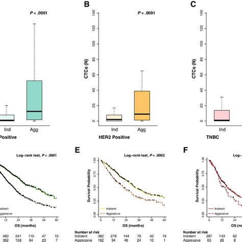 Ctcs Enumeration Simulation Across Mbc Subtypes Patients Classified As